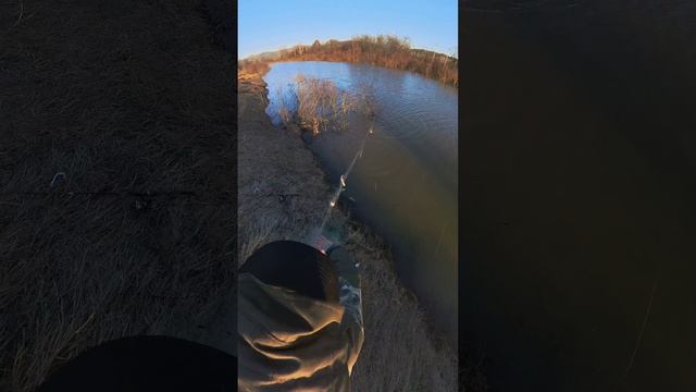 Зацепился приманкой за чужую сеть, вытащил и изорвал ее #нерест #рыбалка #спиннинг #сеть #щука