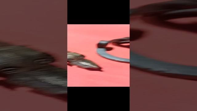 интерактивная выставка Моя Россия Роза Хутор Адлер Сочи