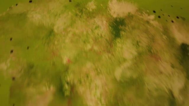 МИКРОСКОП для детских садов "БОБРОВАЯ ЛАБОРАТОРИЯ"  выпуск № 4  Подольск