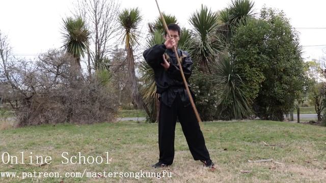 Shaolin Kung Fu Wushu Basic Staff Training for Beginners.mp4