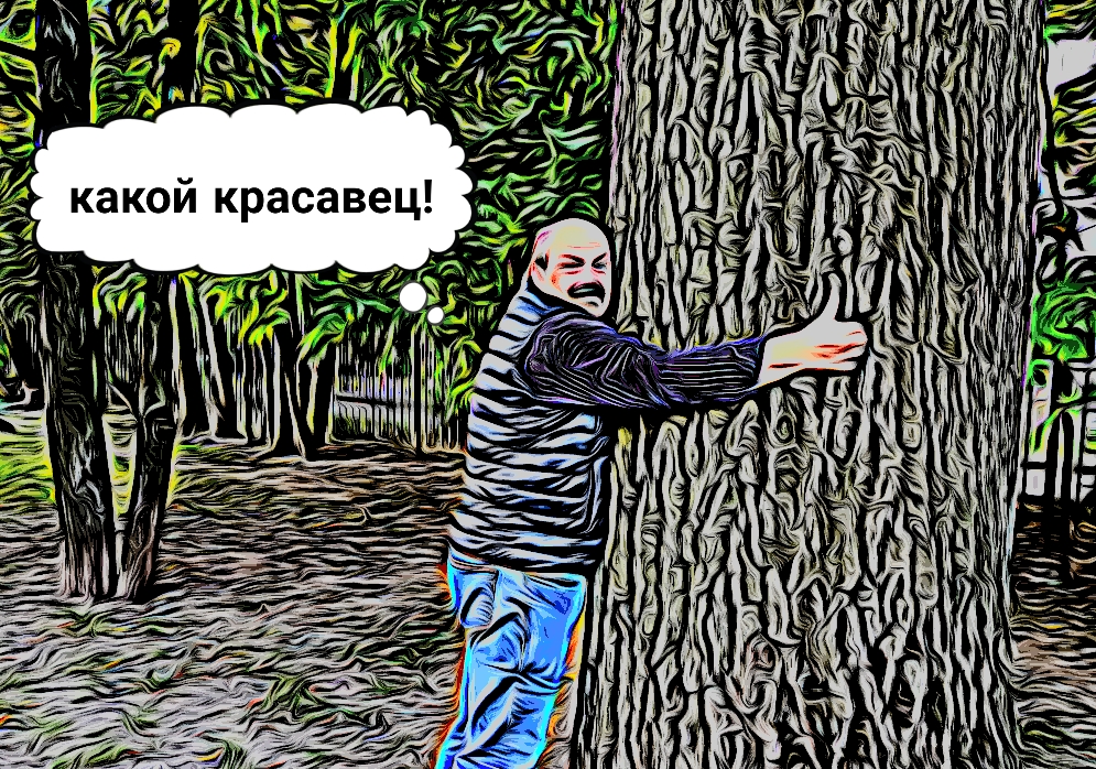 ЕСТЬ ДУБЫ В МОСКВЕ, ЕСТЬ! СМОТРИТЕ КАКОЙ КРАСАВЕЦ!