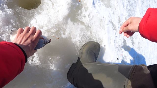 С этой СНАСТЬЮ, ДАЖЕ В ГОРОДЕ НЕ ОСТАНЕШЬСЯ без улова. Рыбалка зимой
