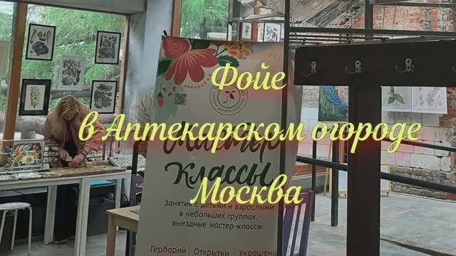 ЦВЕТЫ в ФОЙЕ в АПТЕКАРСКОМ ОГОРОДЕ