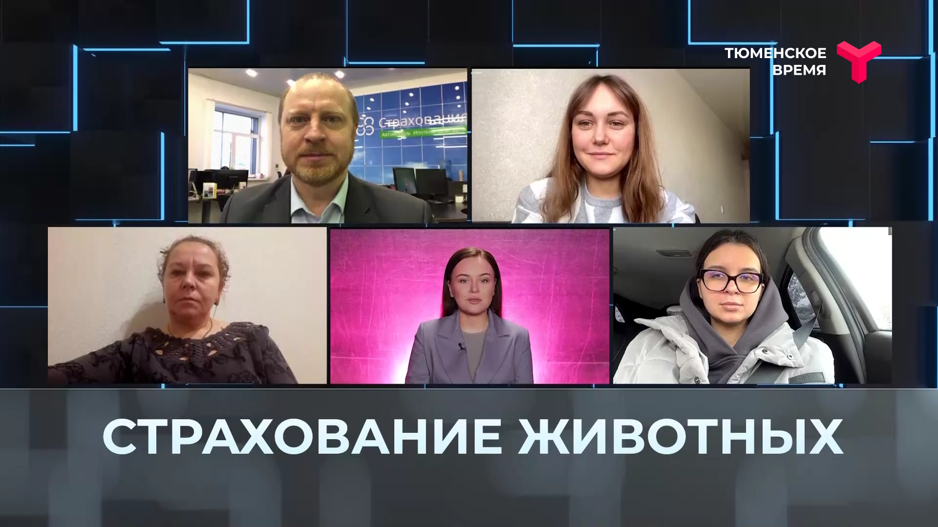 ПЯТЬ: страхование домашних питомцев