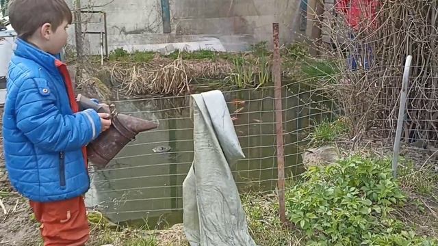 Дети ловят Карасей в нашем прудике 1 мая. Рыбки перезимовали