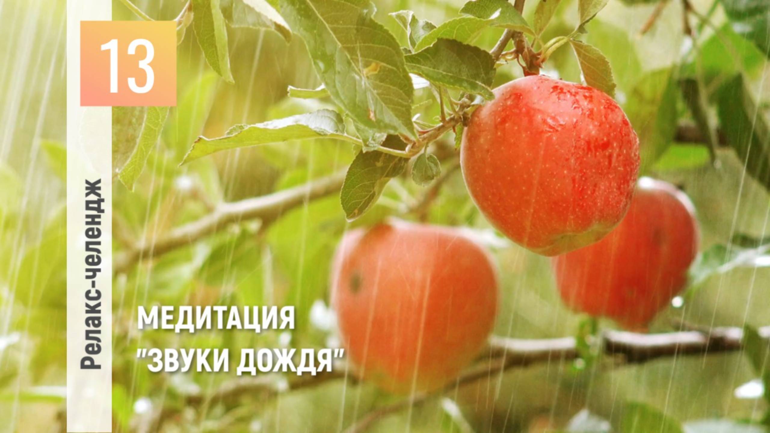 День 13: Отпуск для души. Перезагрузка. Медитация "Звуки дождя"