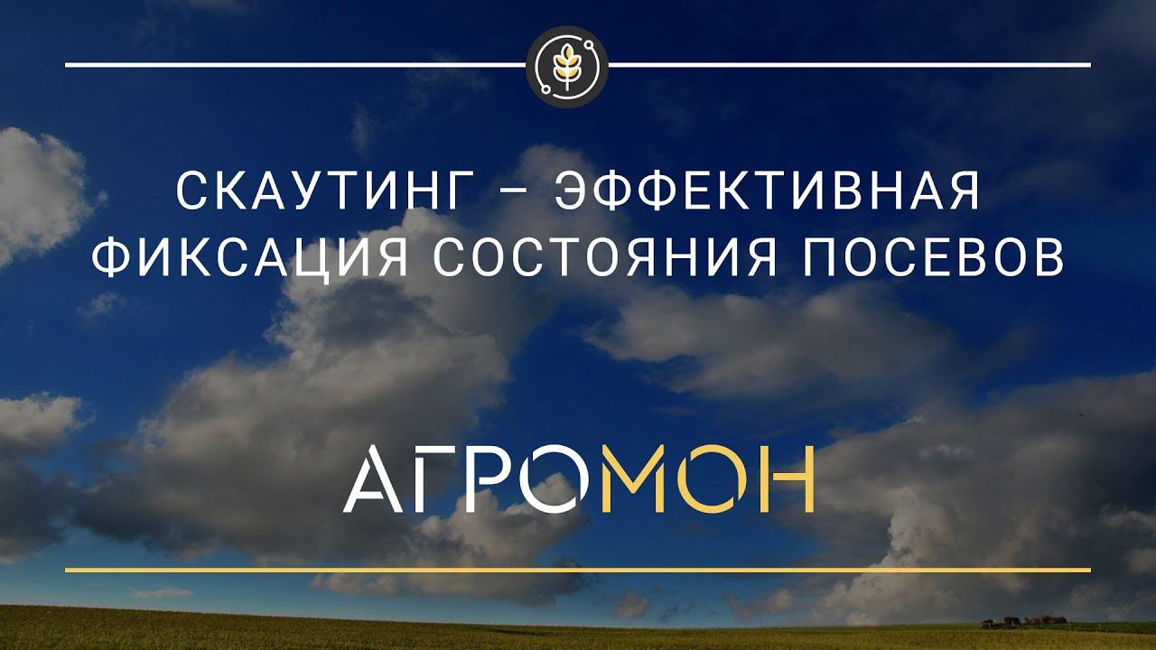 Осмотры полей в мобильном приложении