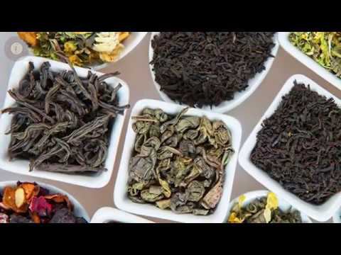 История возникновения и особенности чая как растения