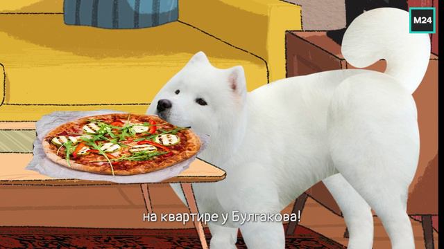 Аренда городских пространств | Кот Бублик