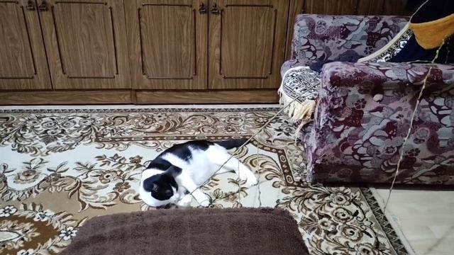 Свежая веточка с улицы