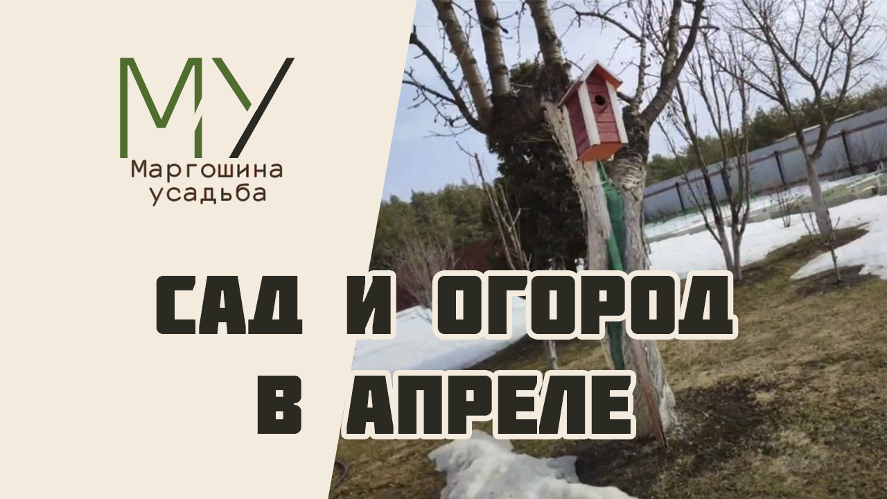 Много снега в апреле на даче. Обзор сада и огорода