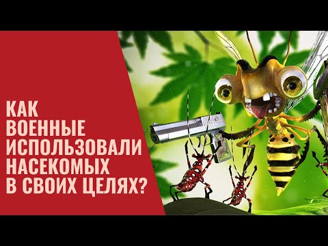 Как военные использовали насекомых в своих целях?