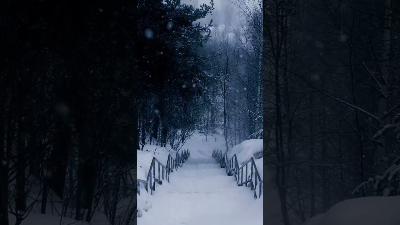 Вот и зима пришла