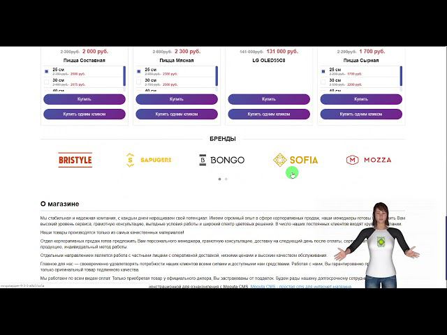 Видео помощник на сайт