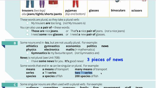 79. Plural nouns