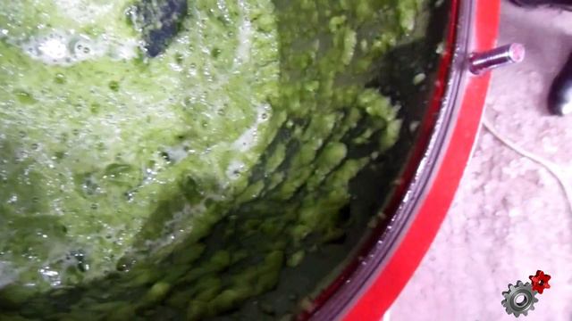 Вертикальный измельчитель закрытого типа Glasser-2 ( блендер )