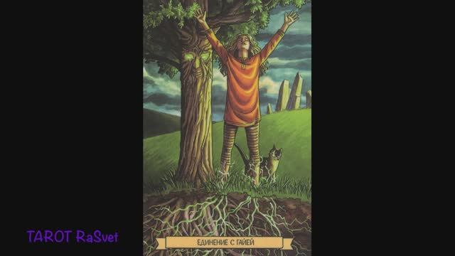 ТАРО. ОБЗОР КОЛОДЫ. ОРАКУЛ ВЕДЬМА КАЖДЫЙ ДЕНЬ
