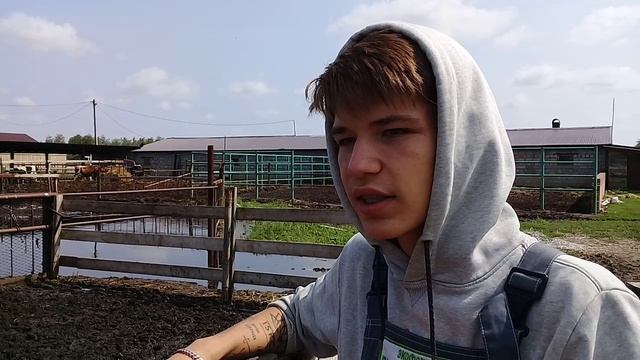 ЭКО ферма "Планета коров"в Омске.