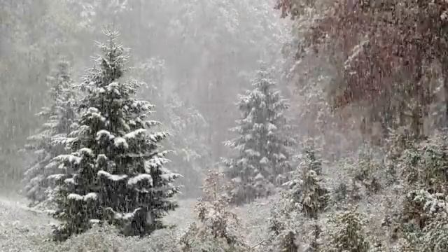 Fredrik Jonasson - (Skywind) - Cold Whispers Extended.mp4