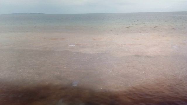 Азовское море, Нижнезаморское, 9.09.2022г.
#АзовскоеМоре
#Нижнезаморское