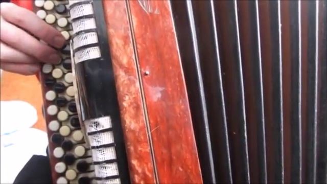 Калина красная - баян/вокал - Наташа П..mp4