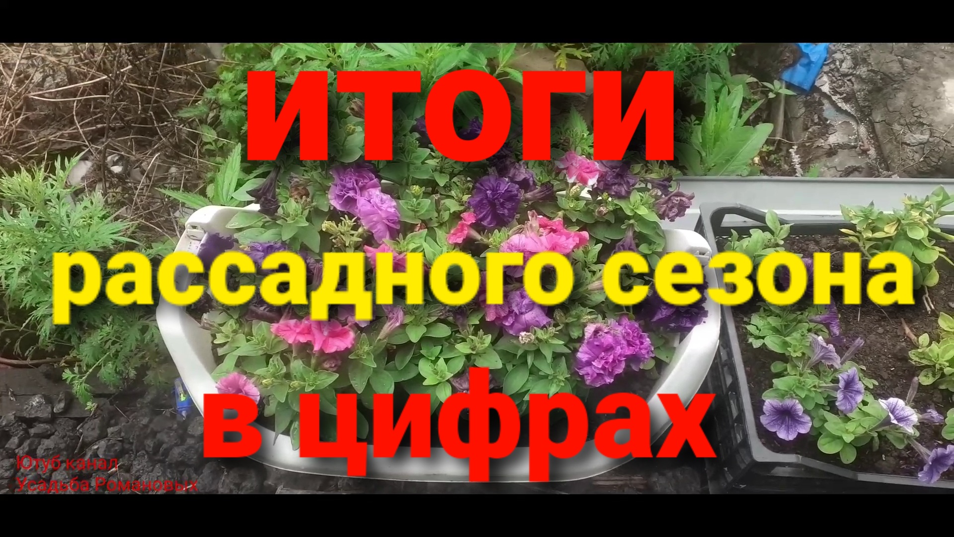 Итоги рассадного сезона 2022.