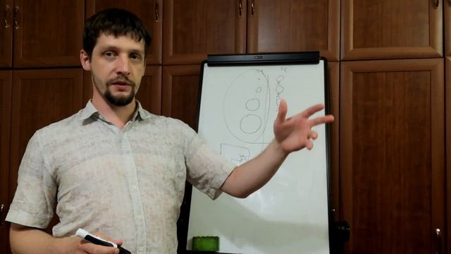 Вторая ступень метода В.М. Бронникова. Часть 1. Развитие мозга человека, психобиокомпьютера