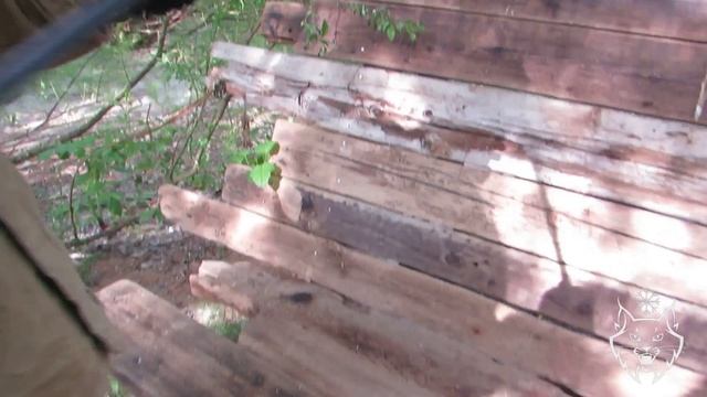 Палка-гляделка.mp4