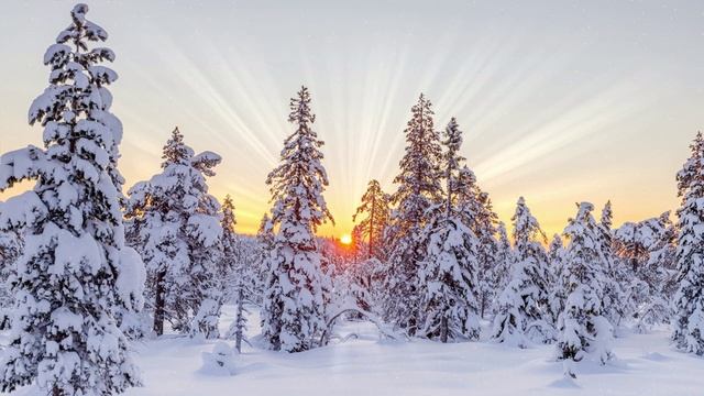 Солнечное зимнее утро.