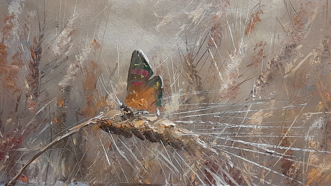 Бабочка  Vugar Mamedov