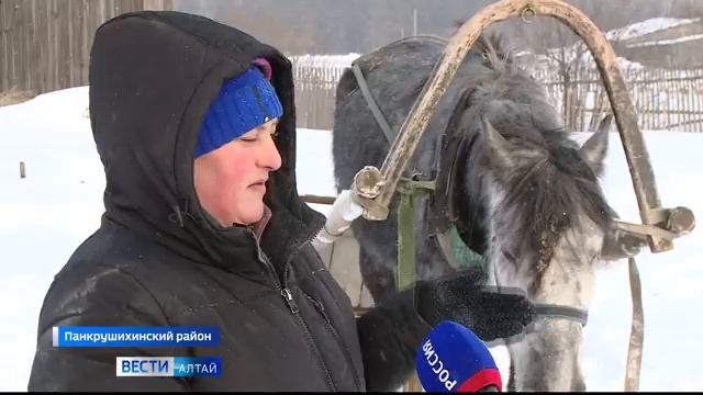 Многодетная мать из алтайского села завела овец и прославилась на всю округу.