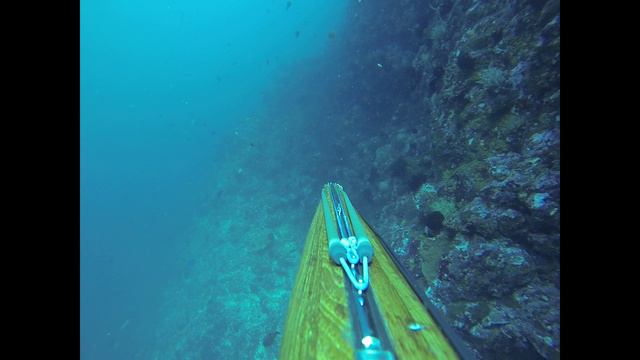 Трудовые будни охоты на Бали 2017