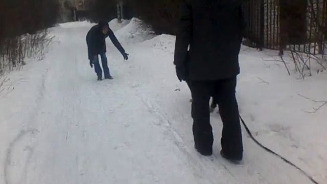 Прогулка с отпущенным поводком