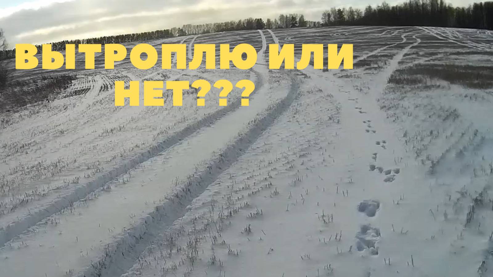 ПОДНИМАЮ ЗАЙЦЕВ С ЛЁЖКИ ПИНКАМИ! * ОХОТА НА ЗАЙЦА ПО ПЕРВОМУ СНЕГУ