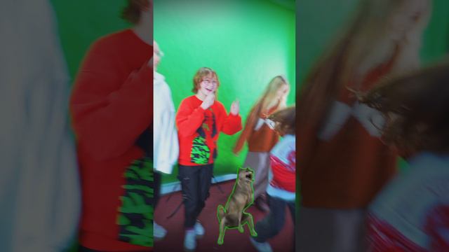 Их виль нихт!