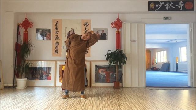 Shaolin Qigong Yijinjing _ 少林易筋经气功