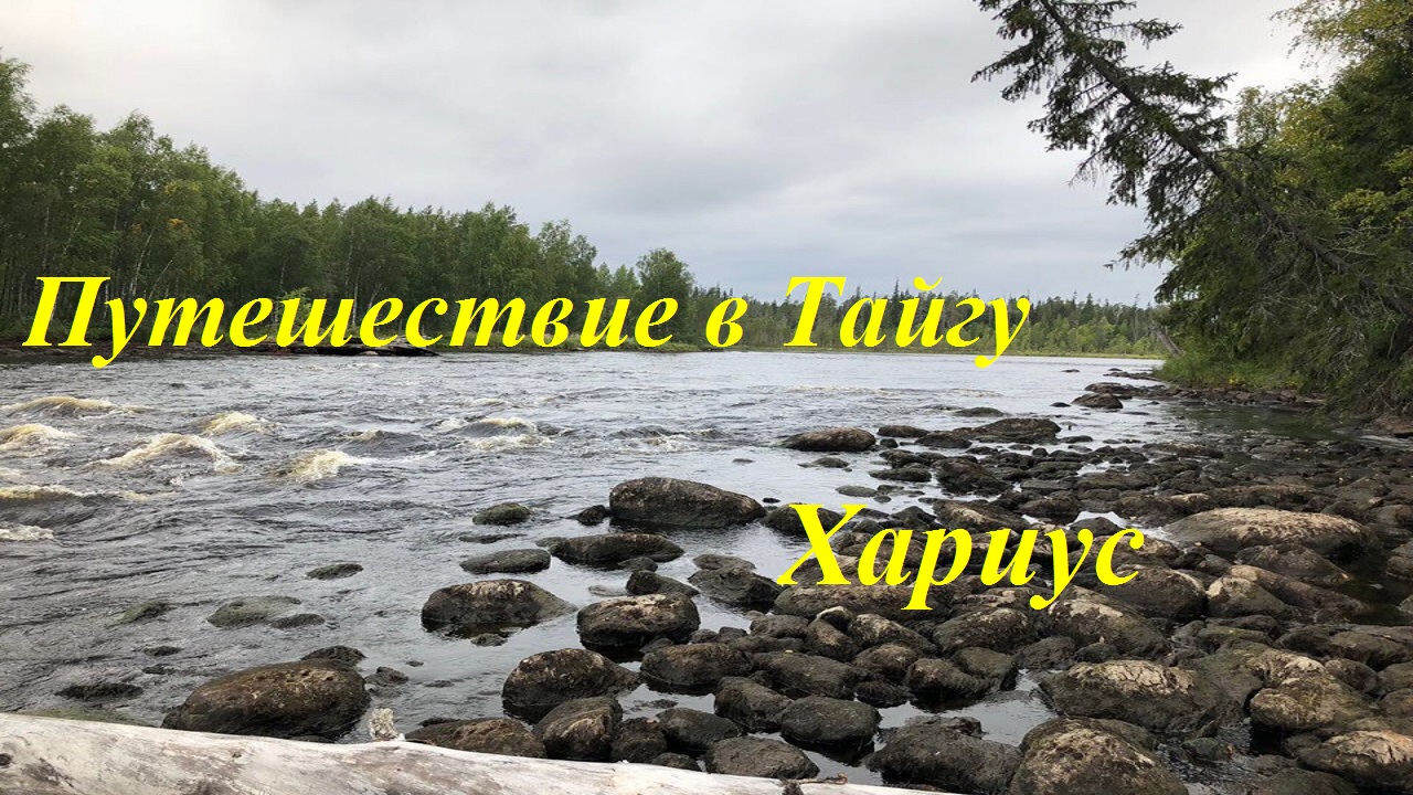 Ловля Хариуса в Северной Карелии. Рыбалка на Таёжной реке. День 3-5