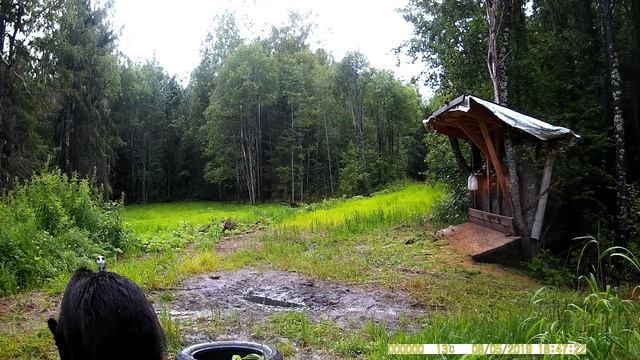 Медведь на кормушке. Выпуск № 35