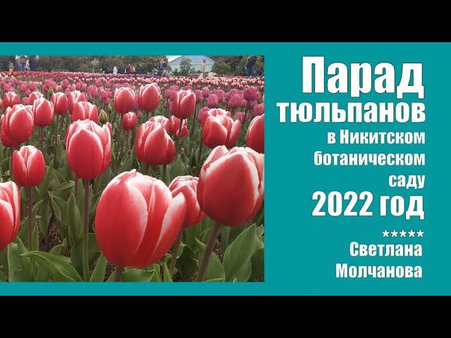 Парад тюльпанов-2022 в Никитском ботаническом саду | Интересные места