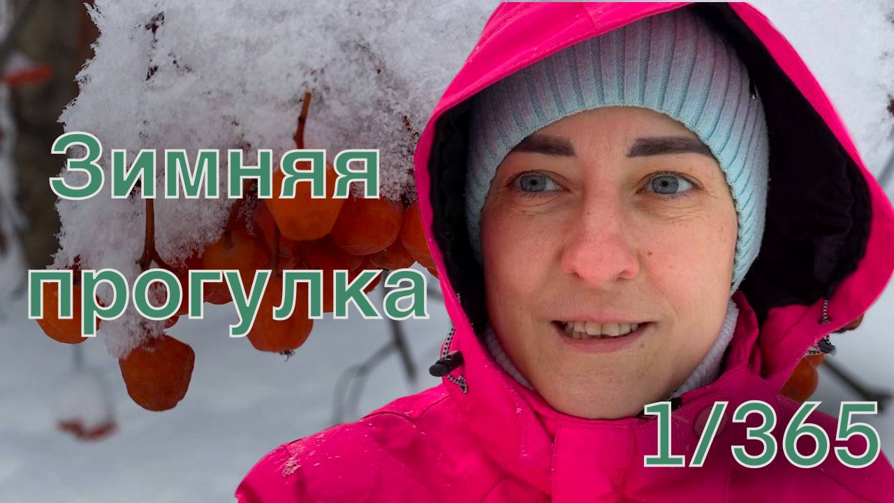 1/Прогулка по зимнему лесу. Список желаний.