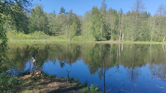 20 мая 2024 с Димкой VID_20240519_161140