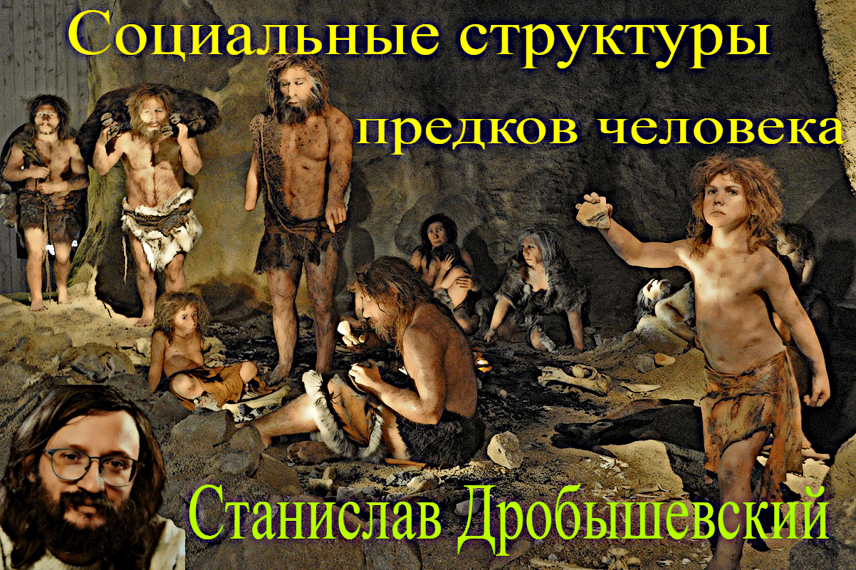 "Социальные структуры предков человека"-Станислав Дробышевский, Антропология