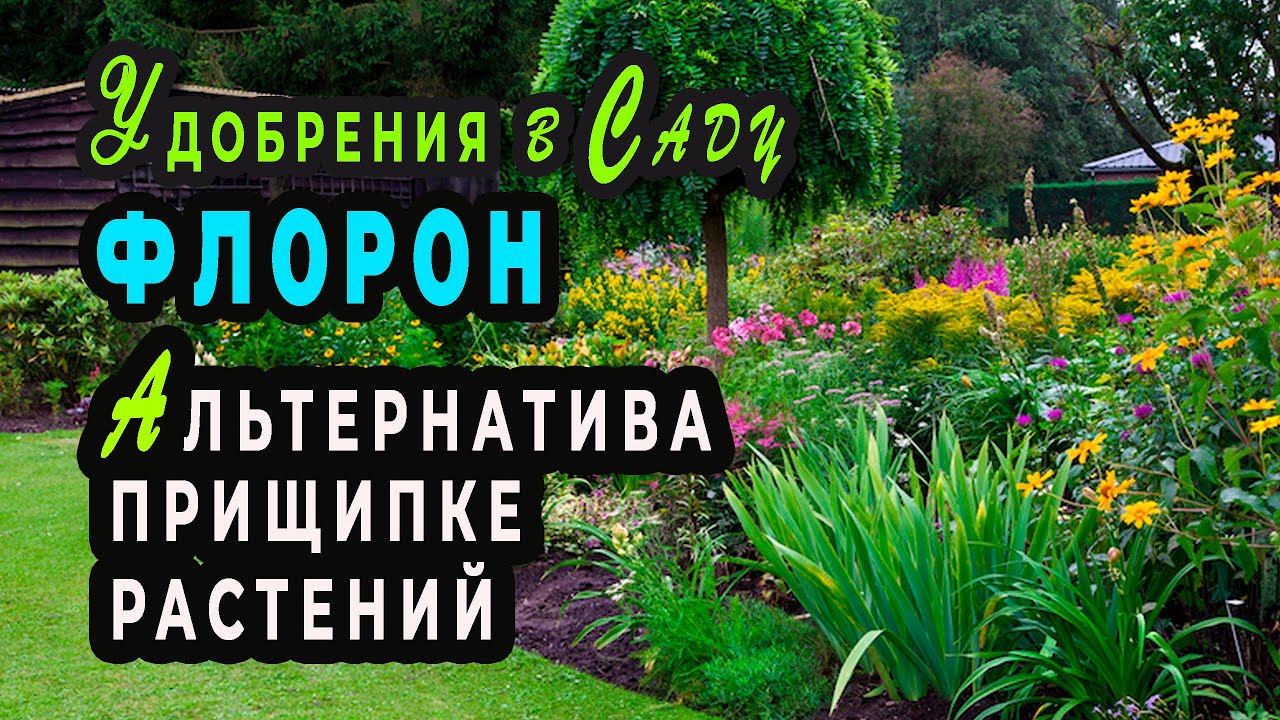 Удобрение Флорон - альтернатива прищипке растений Мгновенный эффект