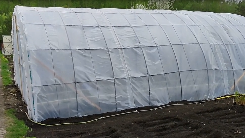 Эксперементальная теплица для батата 7 х 5 х 2,5 м тунельного типа