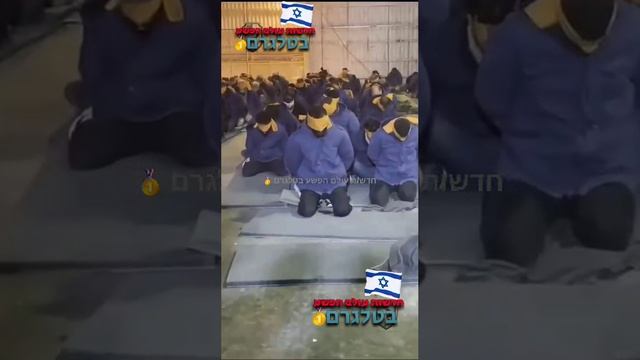 Нацисты хамасовцы обоссались