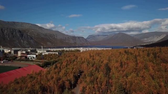 Молодежная онлайн-акция "Мой выбор - моя Родина" | Сергей Супиченко