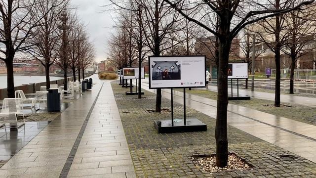 Ролик о выставке «Присутсвие», ноябрь 2021 г.