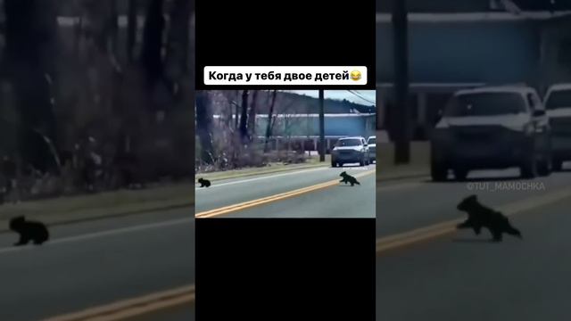 Когда у тебя непослушные дети!