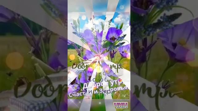 С добрым утром! С новым прекрасным днём!.mp4
