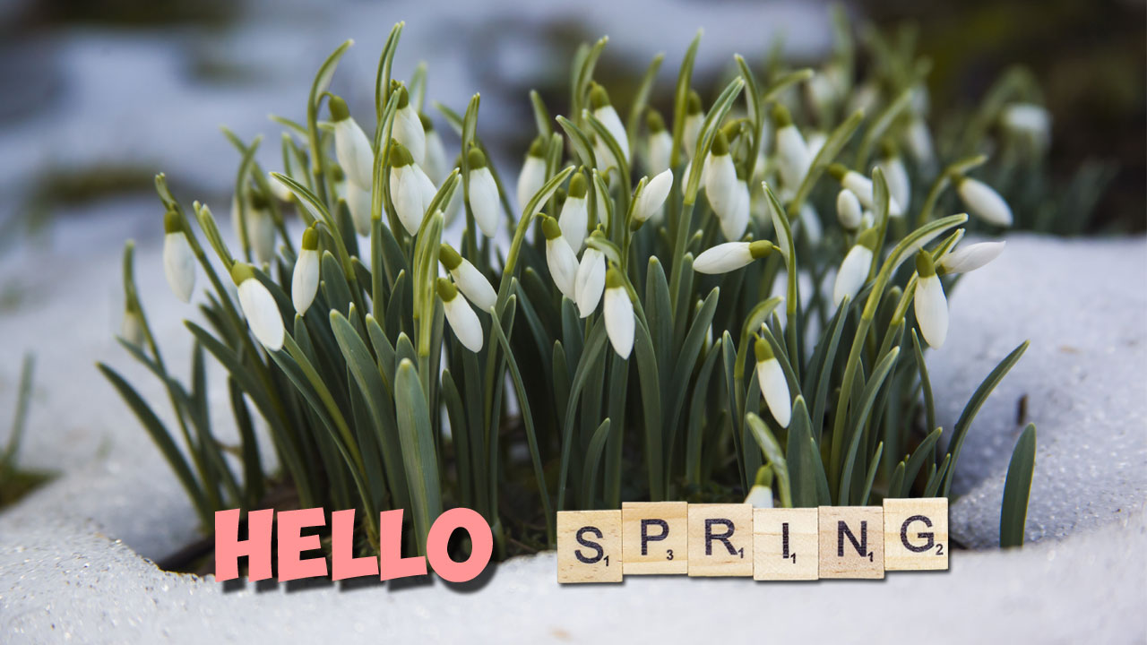 Идеальное место для прогулки ранней весной 🌞